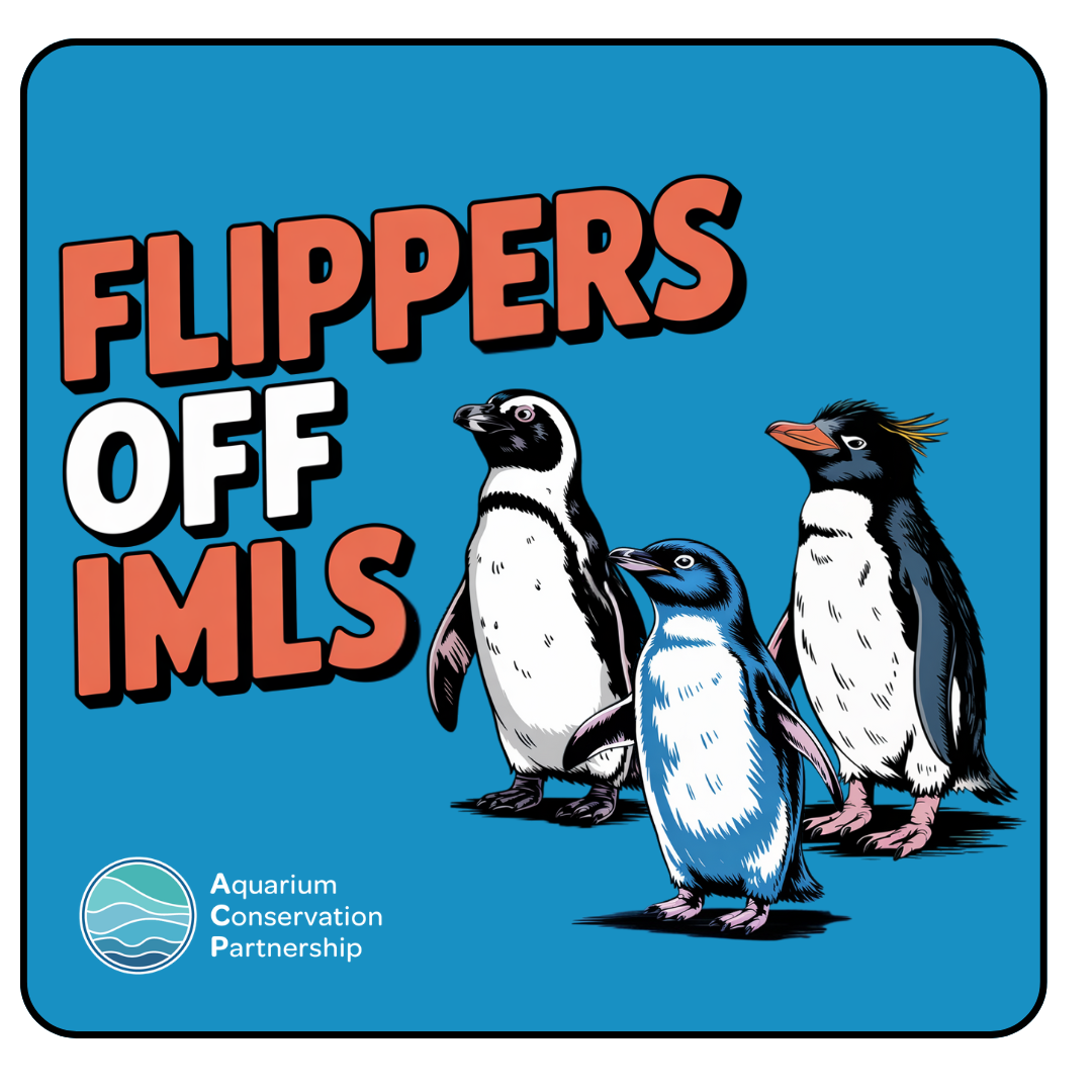 March for the Penguins: Flippers Off IMLS!